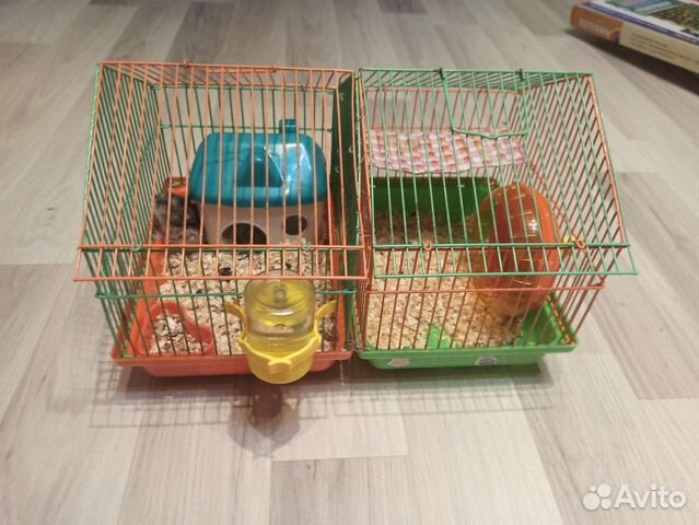 Хомячок с клеткой