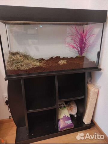 Черепахи две, девочки с аквариумом и тумбой