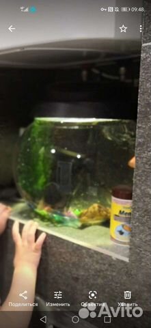 Аквариум круглый 12л