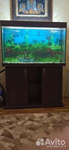 Аквариум