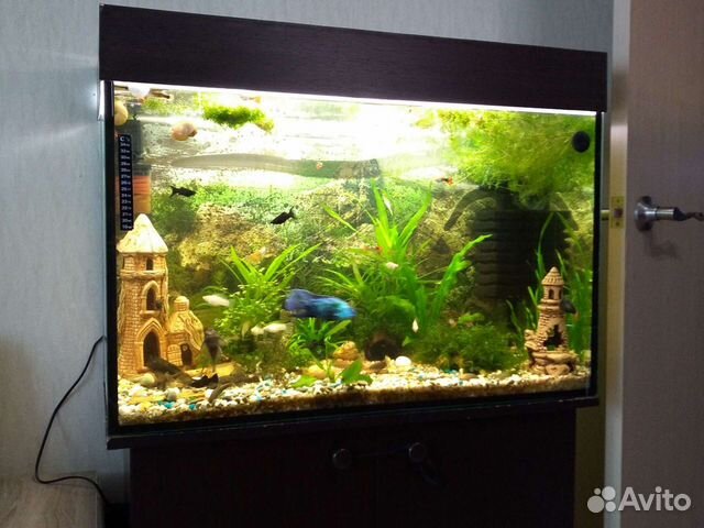 Аквариум 160л