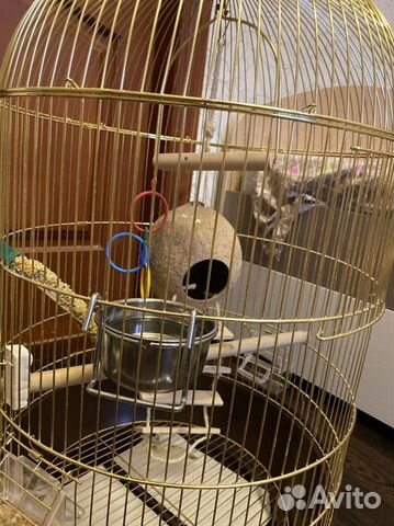 Клетка доя попугая