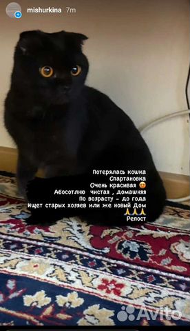 В добрые руки