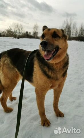 Всё что есть в жизни - это клетка