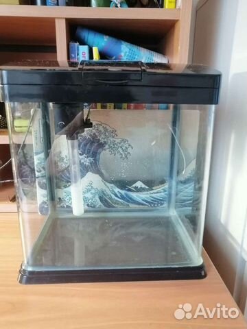 Аквариум 8-10л