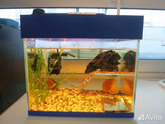 Продам аква-террариум 30 л. + фильтр