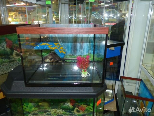 Черепашник для земноводных черепах