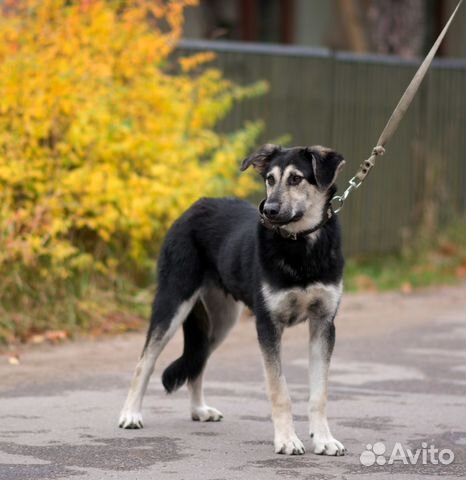 Милейшая Лола ждет семью