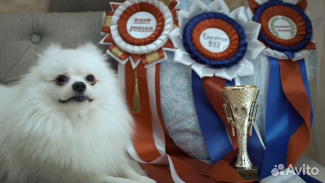 Предлагается кабель на вязку