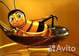 Продам семьи пчёл