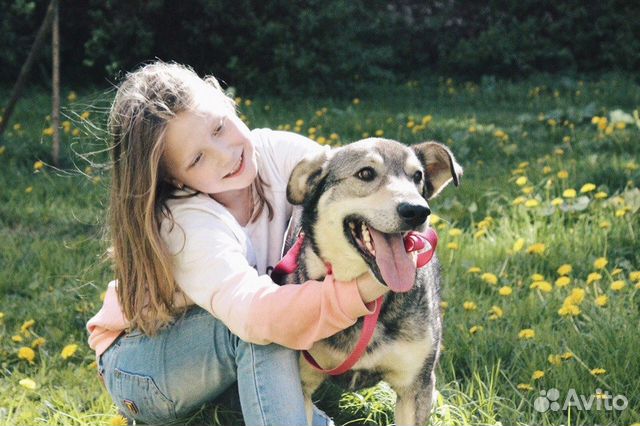 Тони- собака- целовака