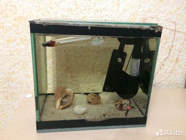 Аквариум с оборудованием и рыбками