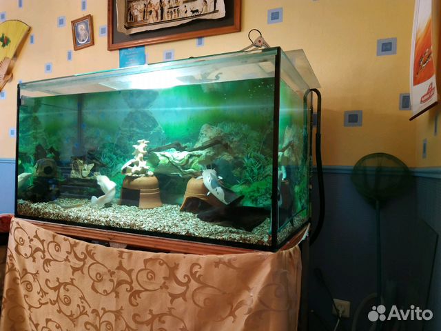 Аквариум 400 л