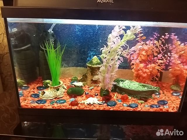 Аквариум полный комплект