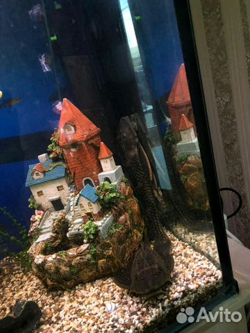 Сомы Парчовые 2 за 1000