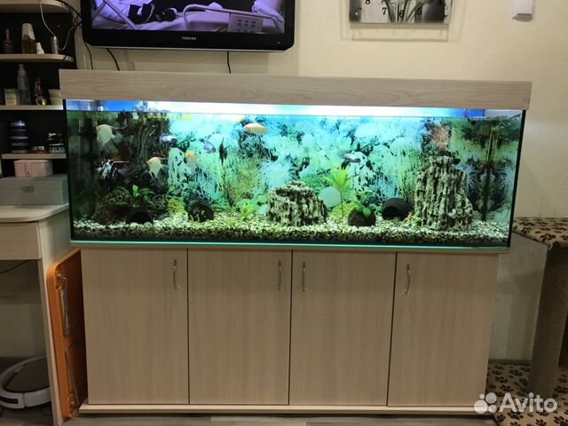Аквариум 230 л