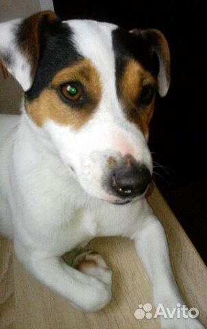 Кавалер ищет даму