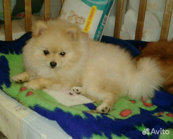 Супер пацан