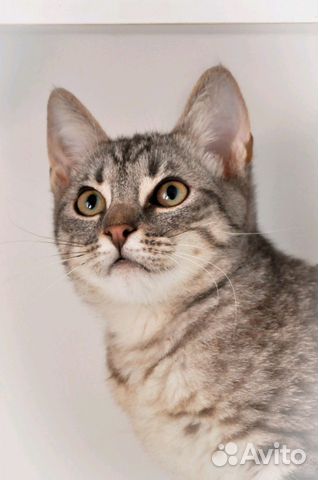 Рианна 1год