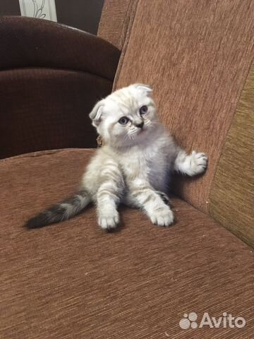 Плюшевый малыш