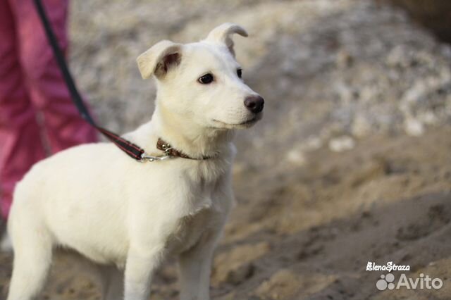 Белоснежная малышка Снежана