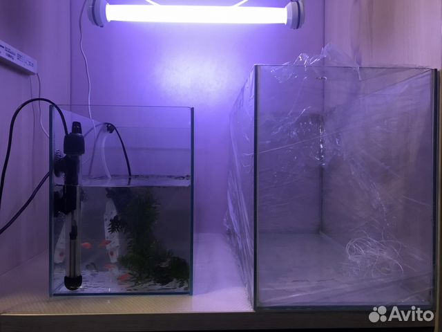 Аквариум грунт рыбки растения