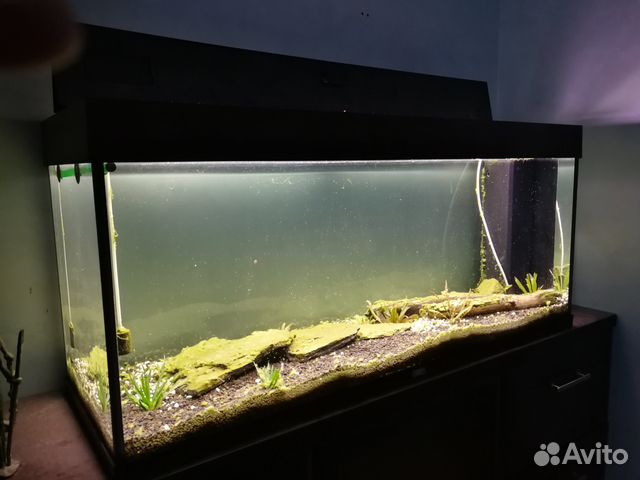 Аквариум Juwel 240/внеш. фильтр/компрессор/мелочи