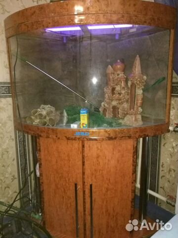 Аквариум