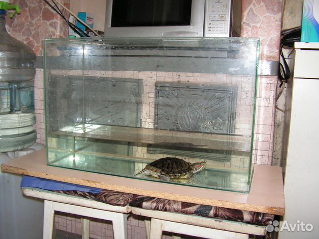 Отдам черепаху с аквариумом