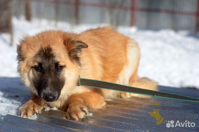 Кристина надеется на чудо