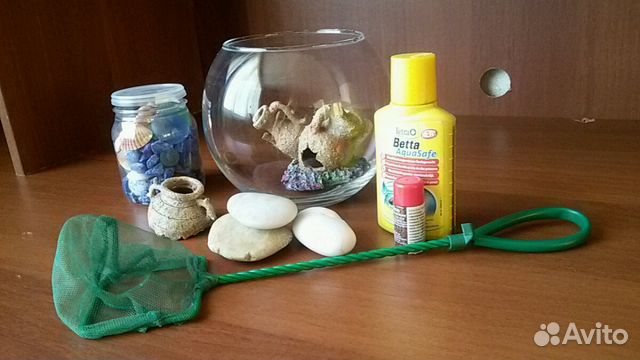 Аквариум (принадлежности для ухода за рыбками, дек
