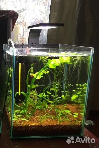 Аквариум Акваэль 20/30 литров