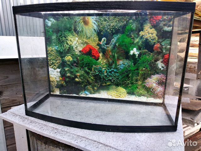 Аквариум 40л