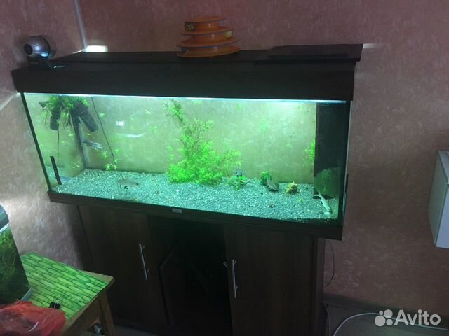 Juwel 240л аквариум (ювель)