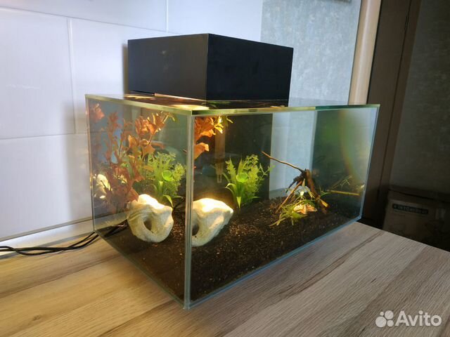 Аквариум Fluval Edge 23л + аксессуары
