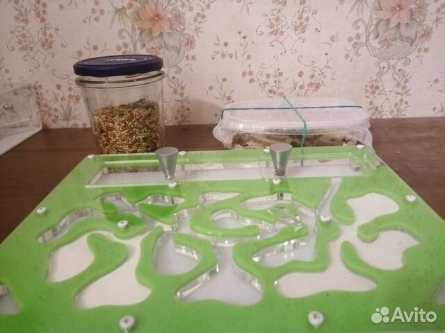 Муравьи, арена, корм и еще