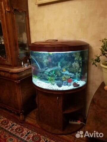 Аквариум 170 л, jebo r790, с оборудованием, со все