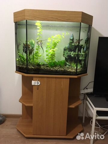 Аквариум 120 литров