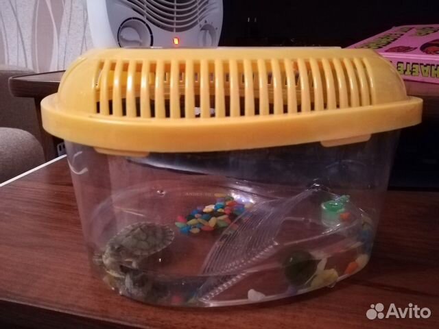 Черепашка с домиком и кормом