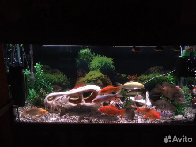 Аквариум Jebo R3126 300 литров