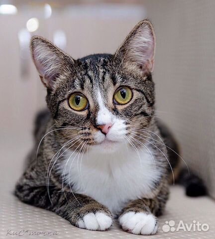 Дашенька-ласковая, нежная девочка