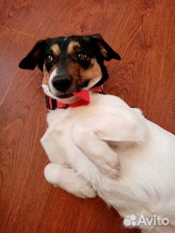 Сонечка в поиске своего Человека