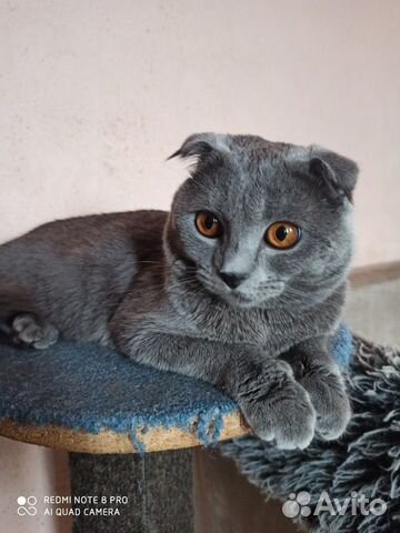Вязка
