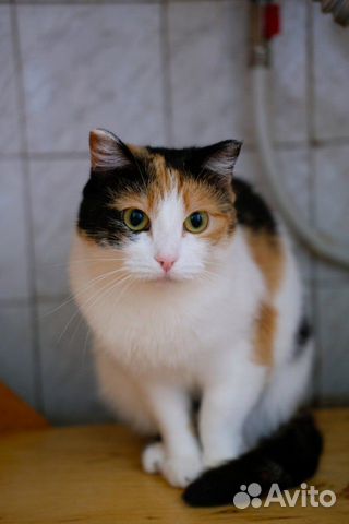 Мелисса
