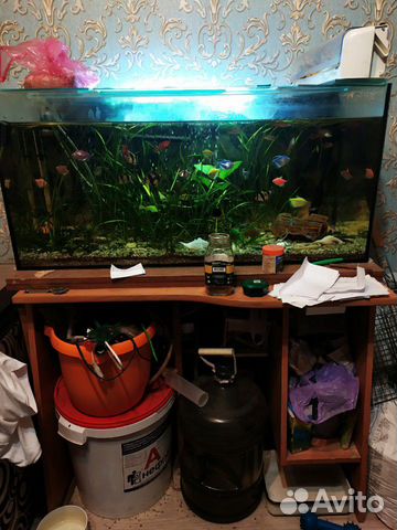 Аквариум с рыбками