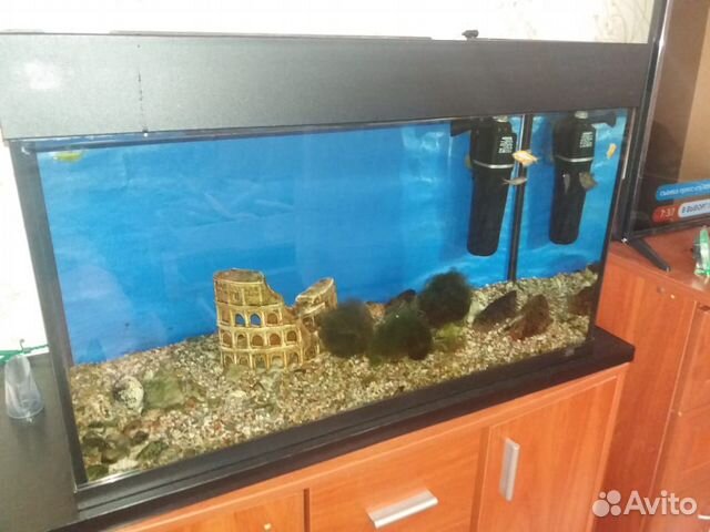 Аквариум