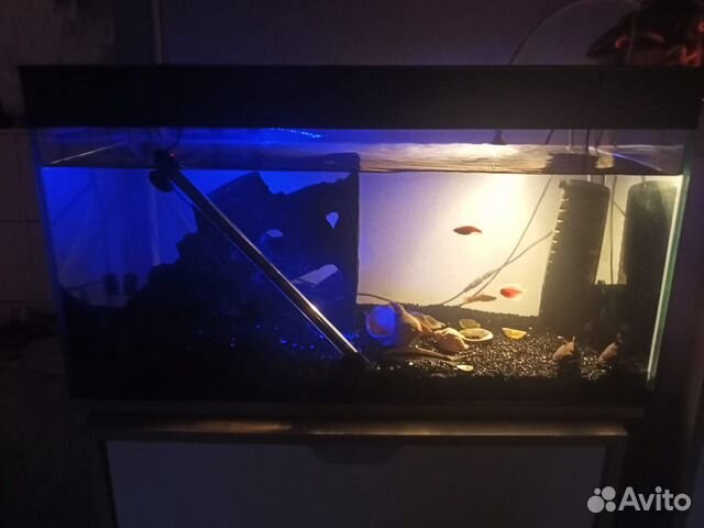 Аквариум 100литров с рыбками