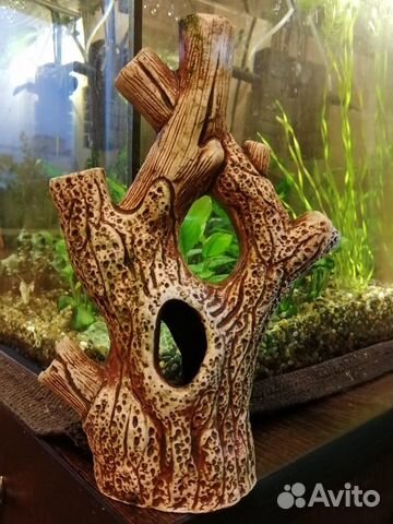 Декор для аквариума, аквариумные растения