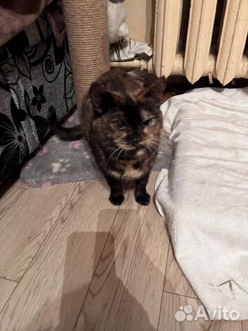 Две сестрички