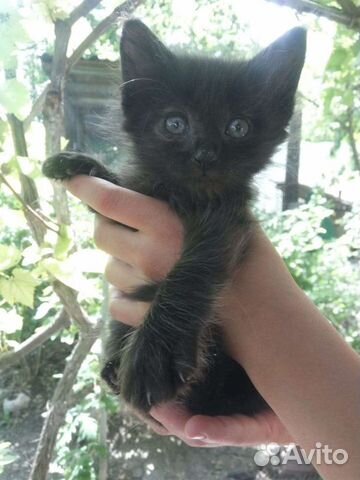 Сладкий мальчишка,ищет ма и па